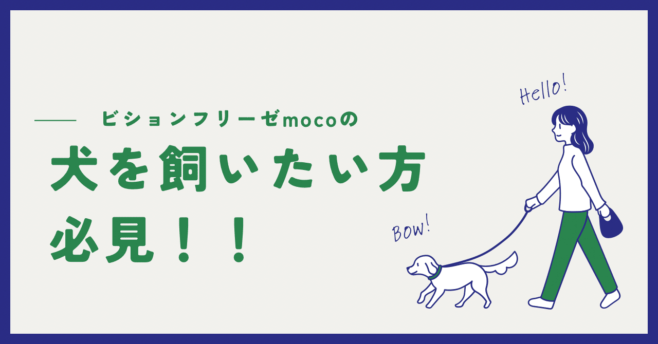 犬を飼いたい人必見｜ビションフリーゼのmocoとの生活で感じた大変さと感動｜ビションフリーゼ/moco