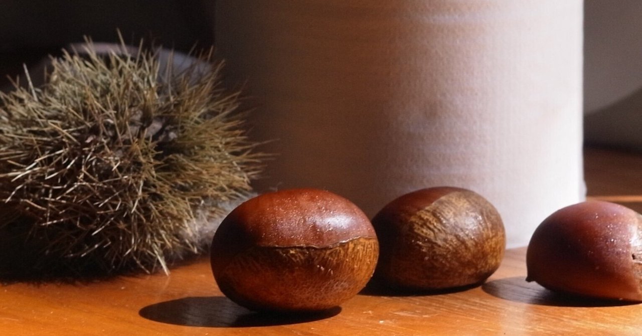 「光でスケッチ」 お裾分け｜Rabi Sato