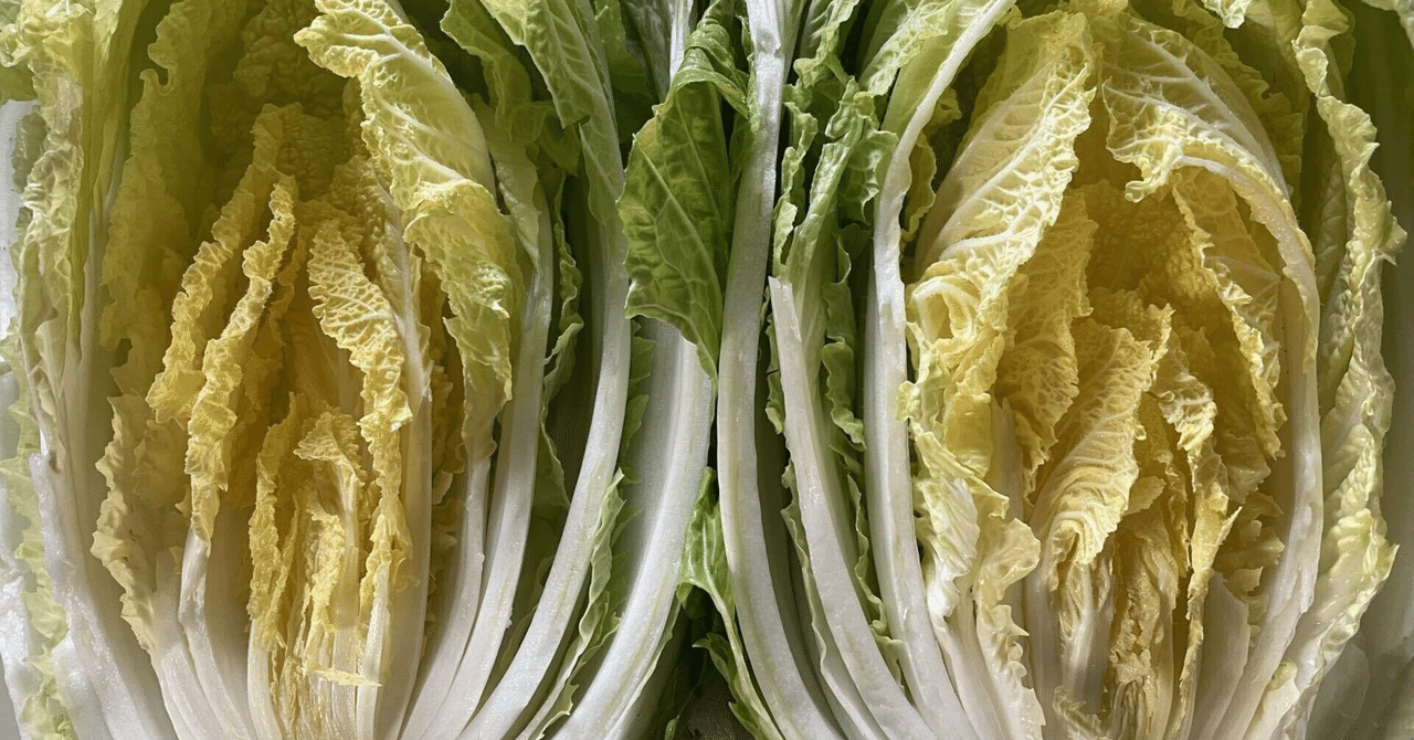 白菜鍋｜Kohei Sasaki