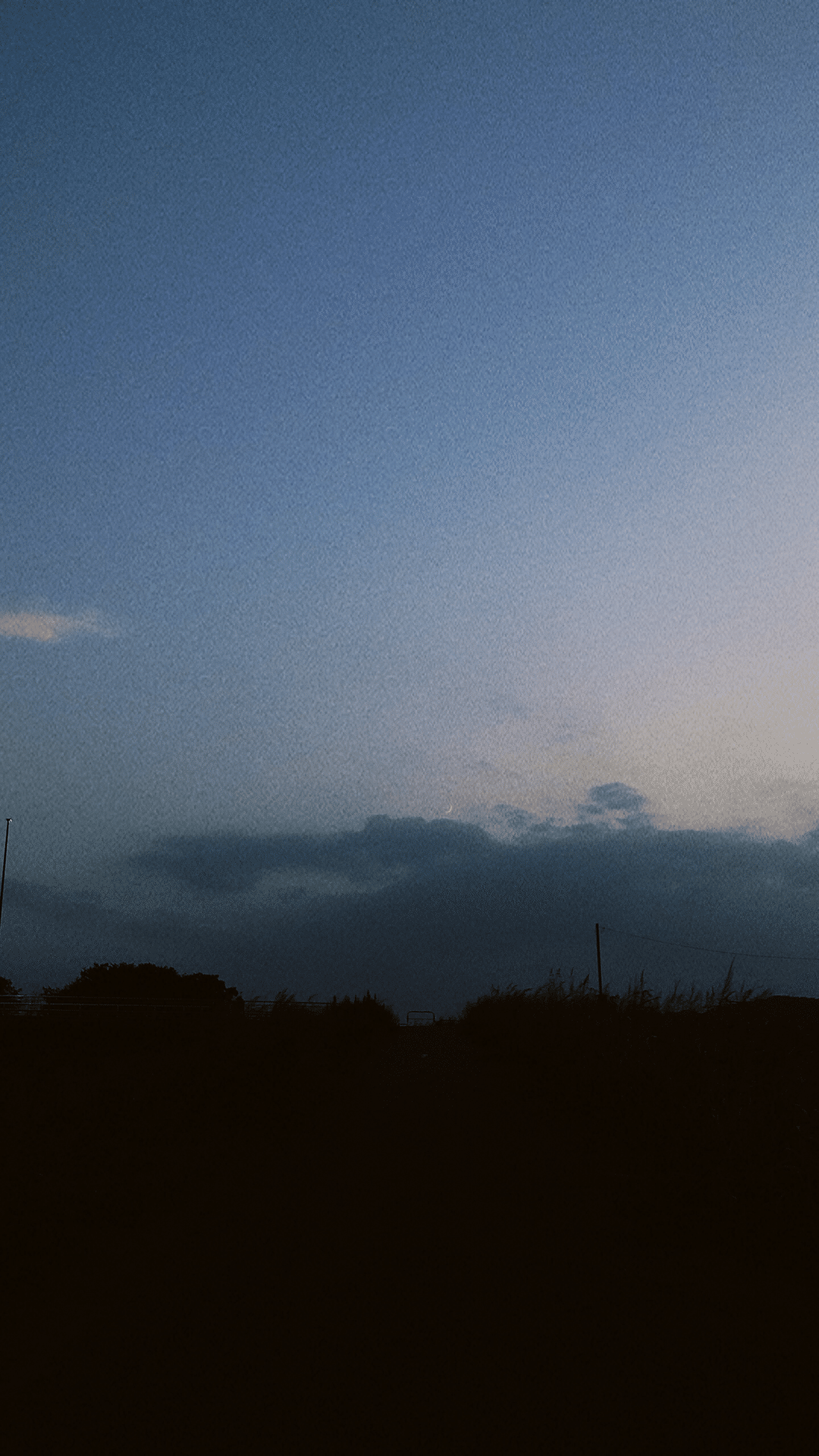 「ごめんね」｜risa kuroda