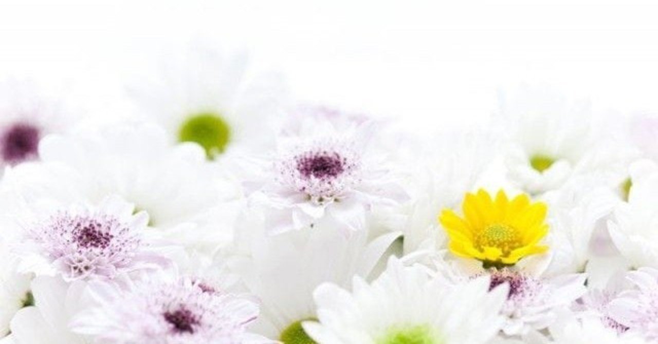 志村けんさんのご冥福をお祈りします｜Masatoshi Oka | 柿川亭｜note