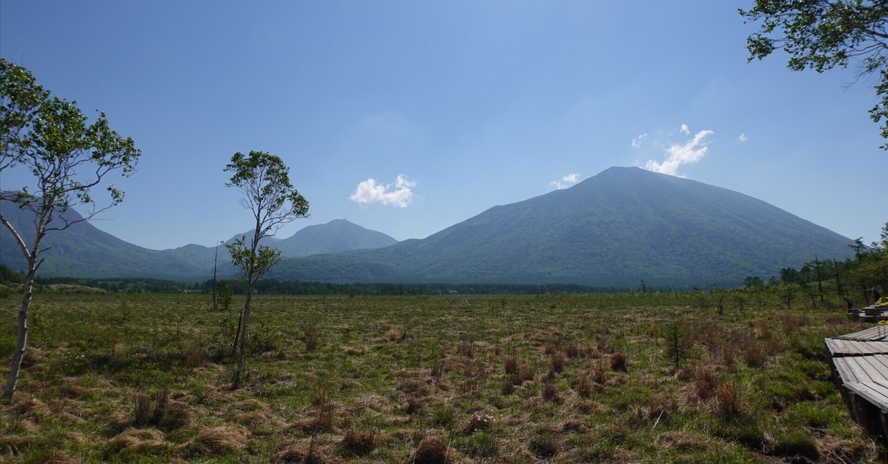 【日光】クマ！奥日光・戦場ヶ原ハイキングは危険か？｜Nikko Fuji