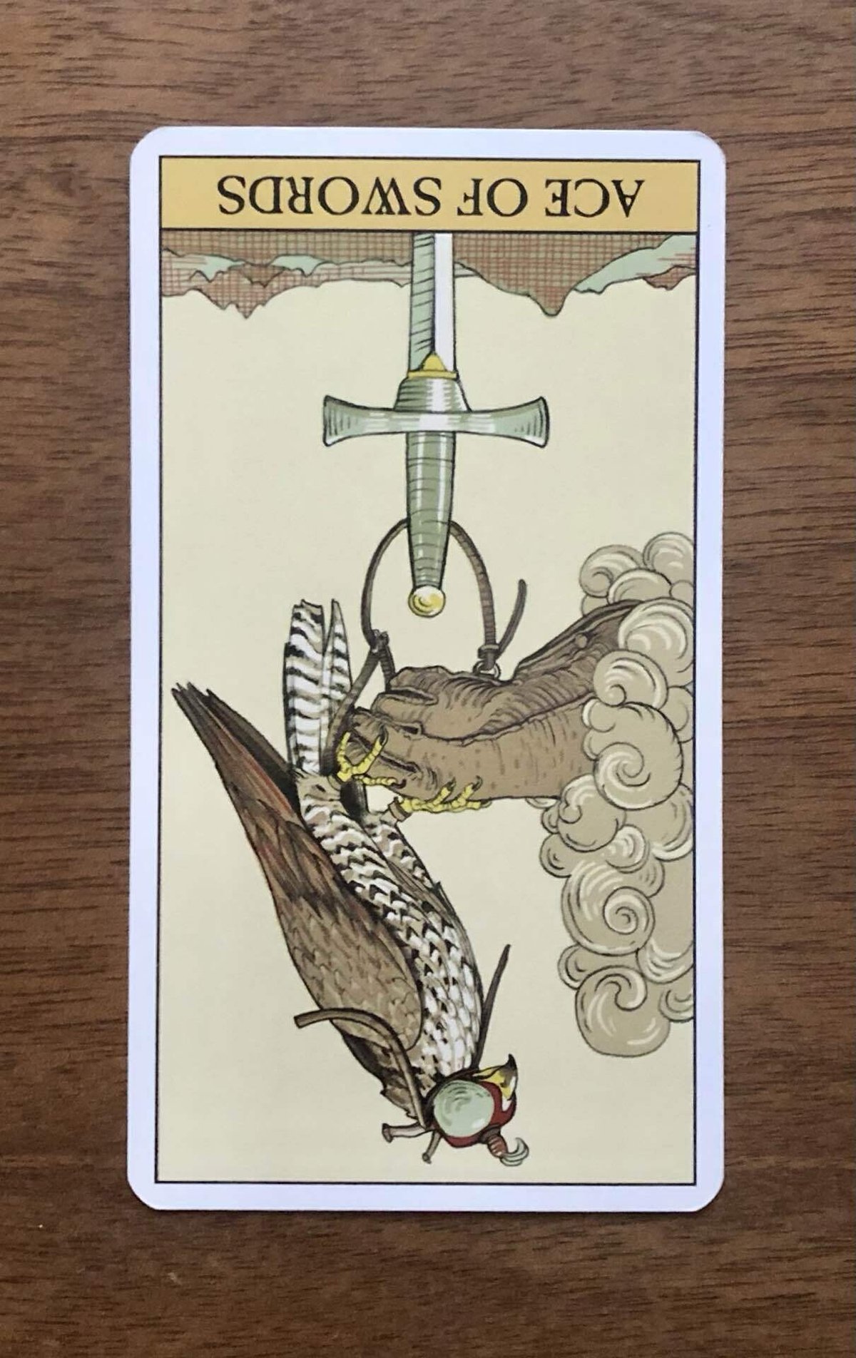 恋タロット 259｜riho.b