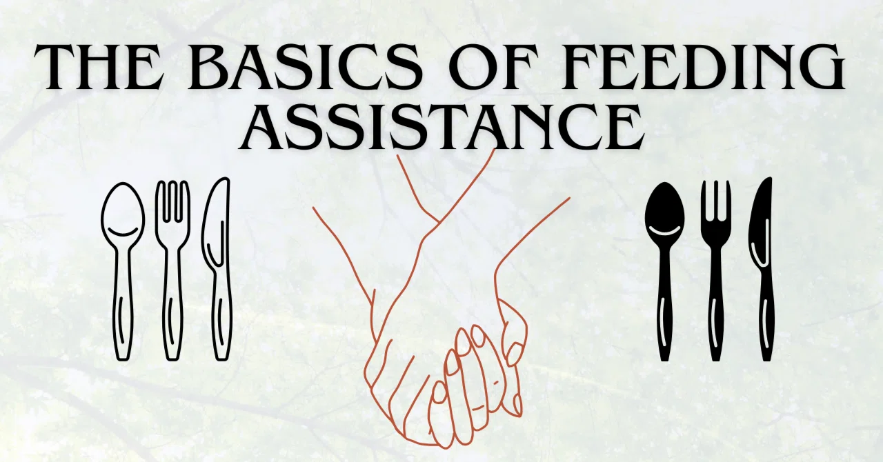 The Basics of Feeding Assistance｜Yoshi Press