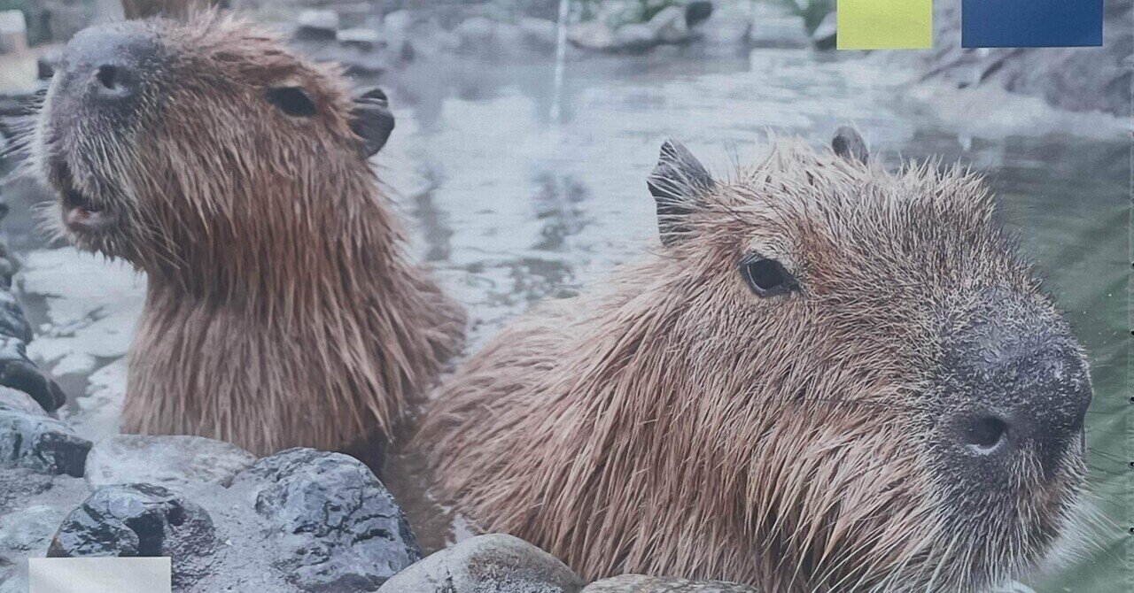 ドラマ25時赤坂でSeason2の開幕に伴うこのドラマの方向性に関して｜ころ