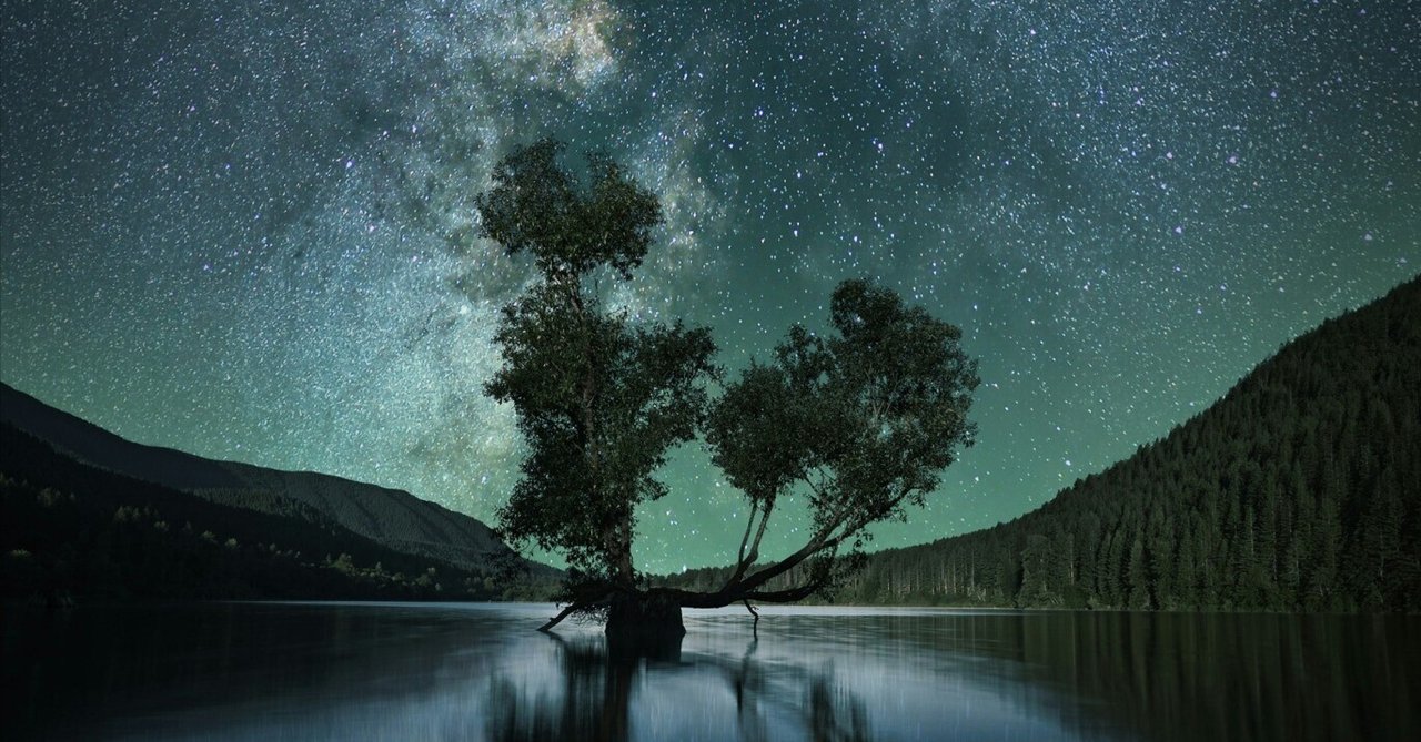 🌿 Word Constellations #4Onomatopoeia – The Sound-Shaped World of Japanese｜kotoha