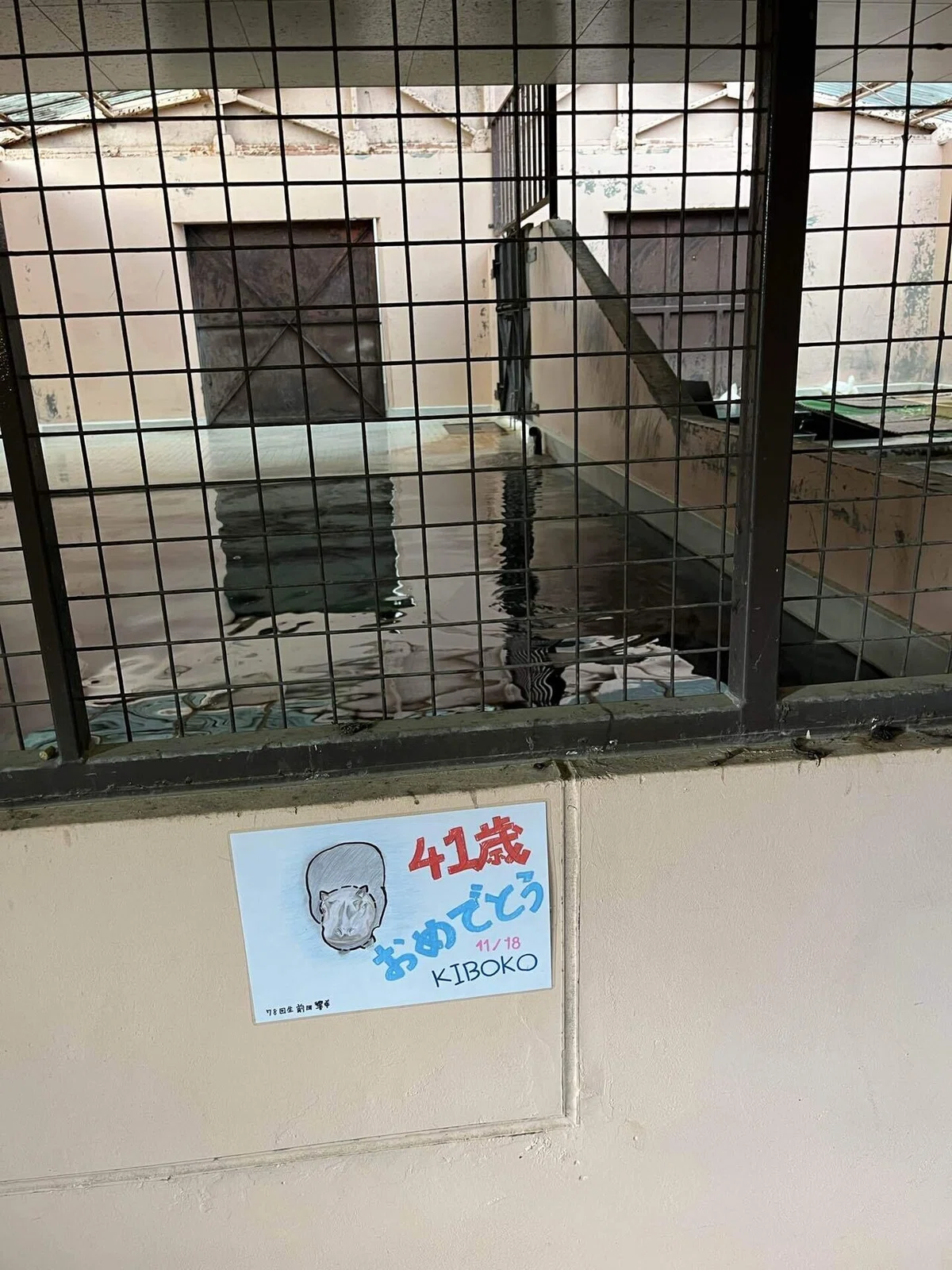 【雑記】姫路•大阪万博旅行｜のぶ