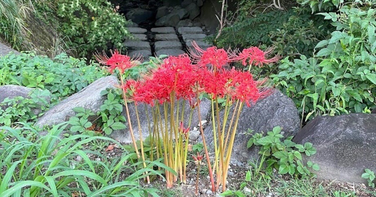 「ありがとう」と「私へのエール」の旅｜Yatchi