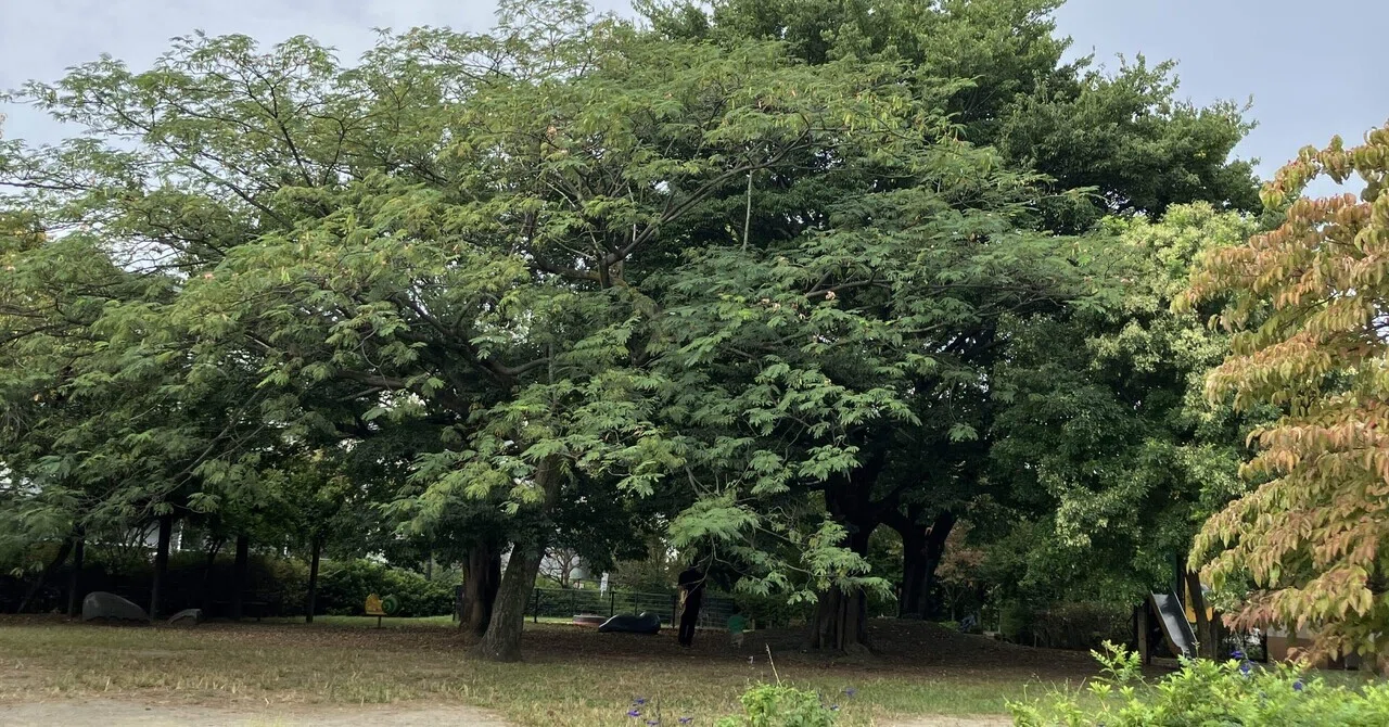 関町風の道公園 Sekimachi Kazeno-Michi Park｜Chubby from Nerima