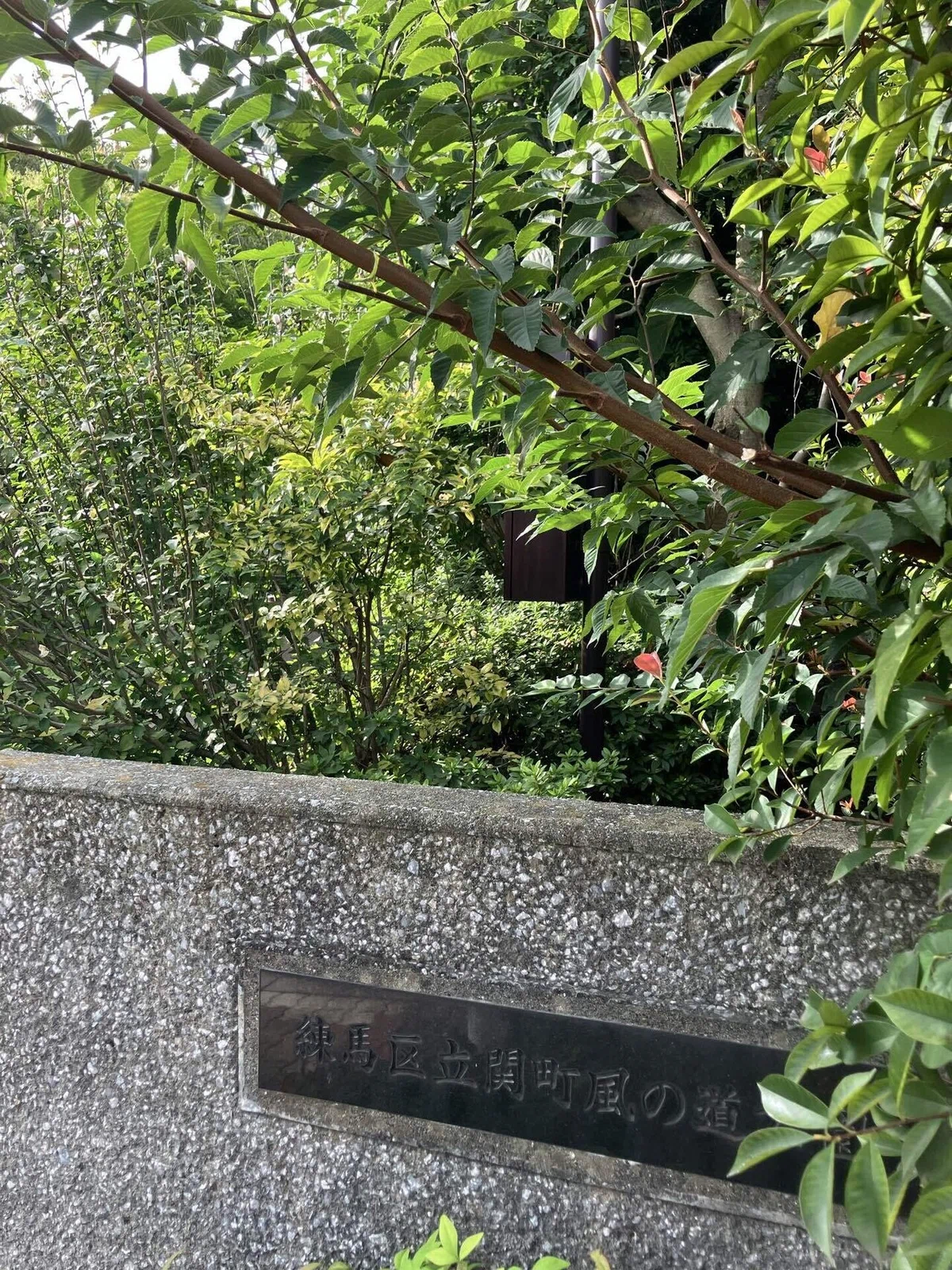 関町風の道公園 Sekimachi Kazeno-Michi Park｜Chubby from Nerima