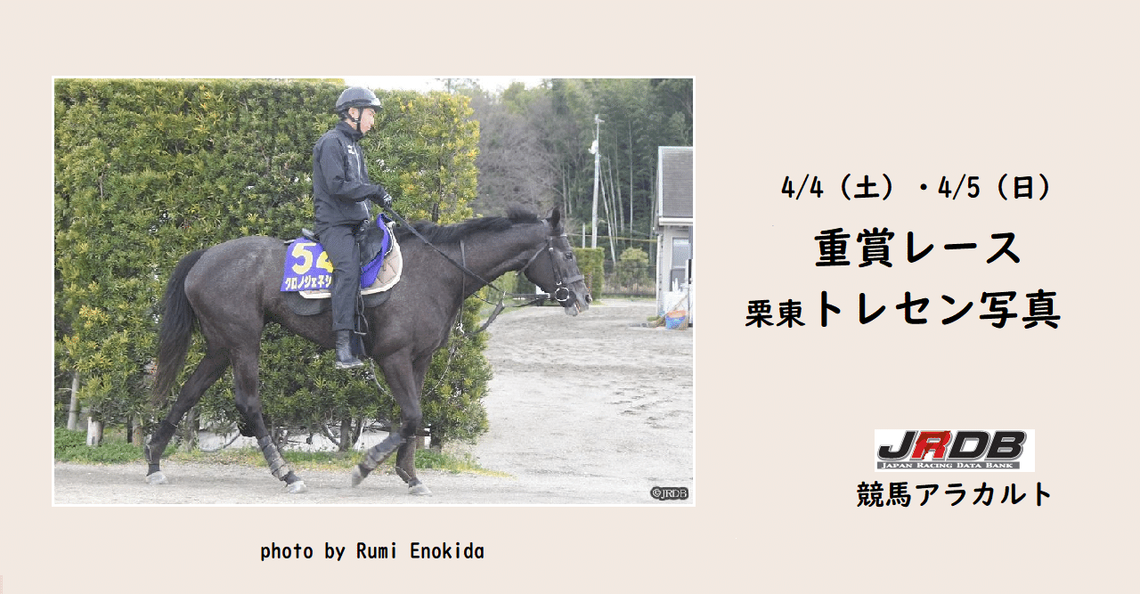 4/4（土）・4/5日（日）分の重賞登録馬トレセン写真を更新しました｜JRDB 競馬アラカルト