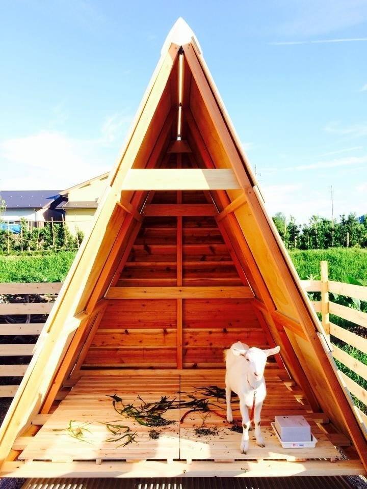 ペットに有害な植物に注意しよう。｜LIVING DESIGN