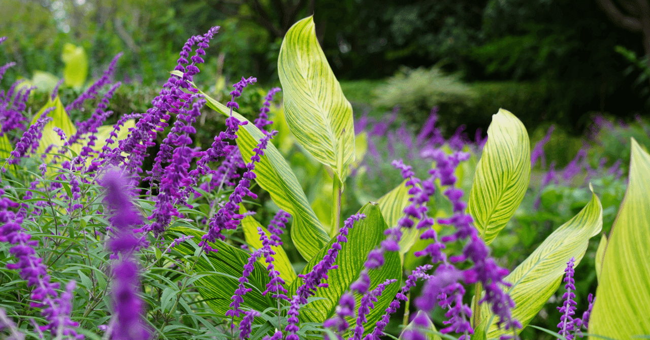 ubuntu 24.04 rust install｜blue06_2022