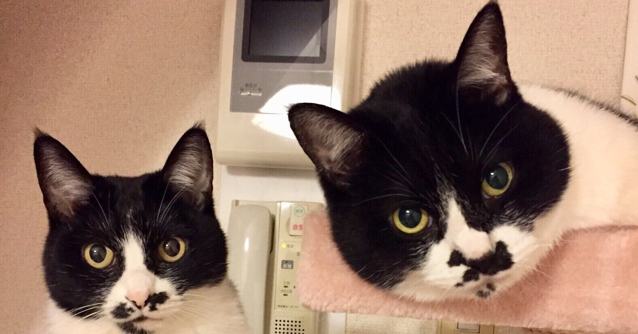 2025.10.05｜はじめてのnote｜KATOPE