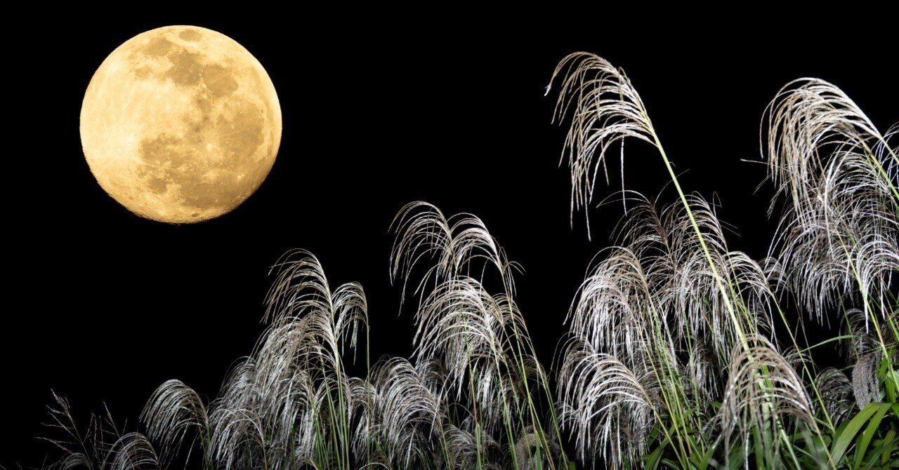 -7- 月の満ち欠けを10,000倍速で｜宮本紫苑(^carett)＠小学校理科