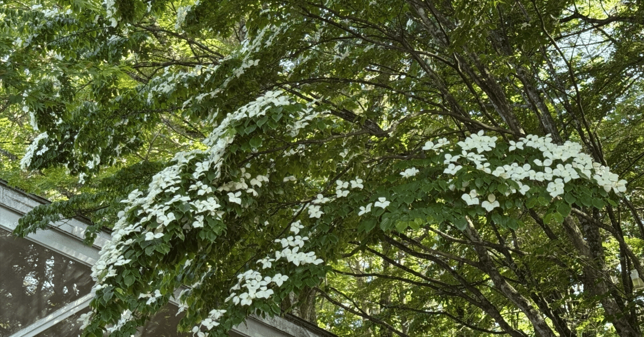 育児とせどり、どちらも諦めず前へ｜WCK_haruna