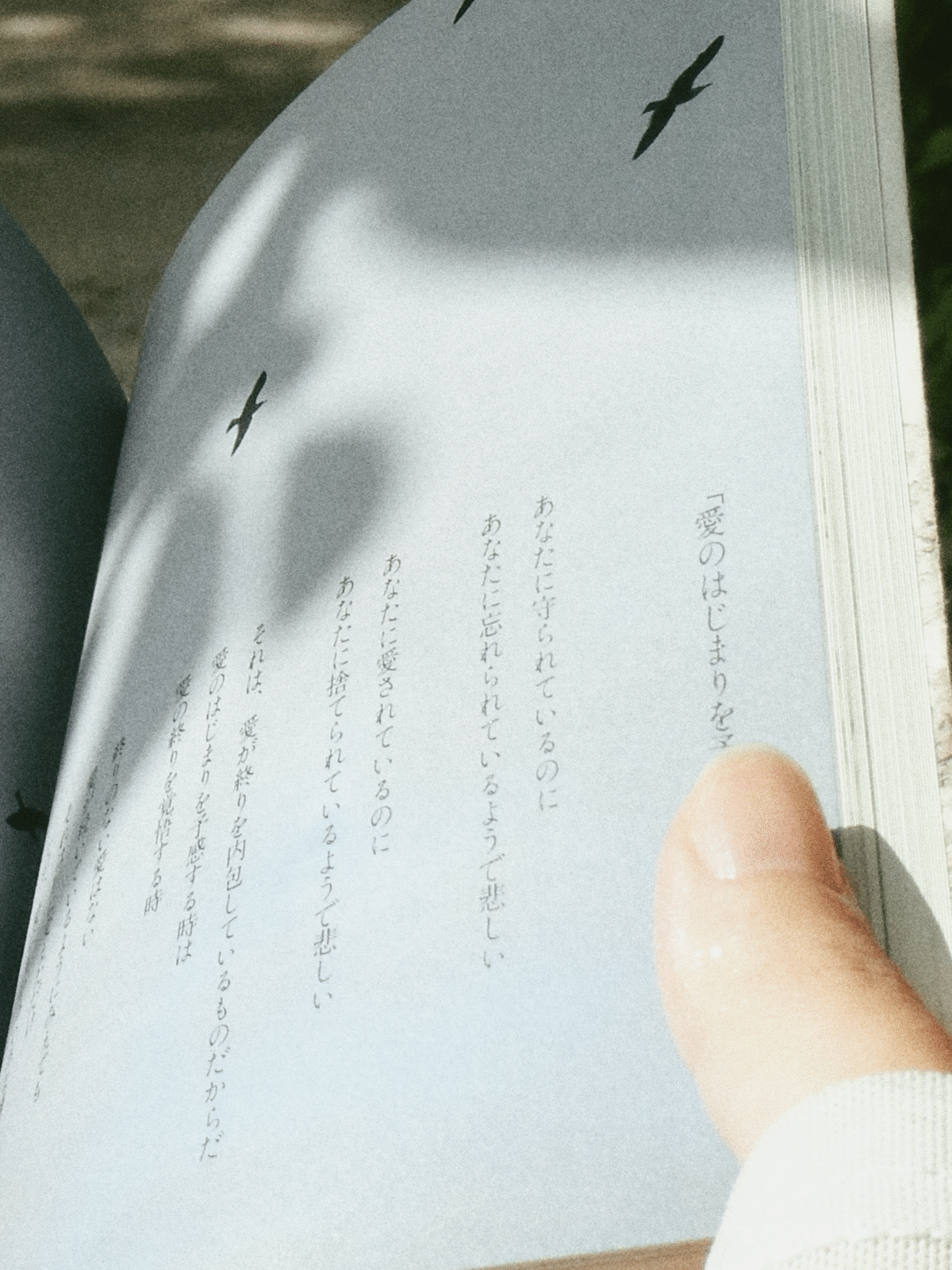 カメラ歴5ヶ月、フォトウォークを主催してみた。｜ma__tsuko