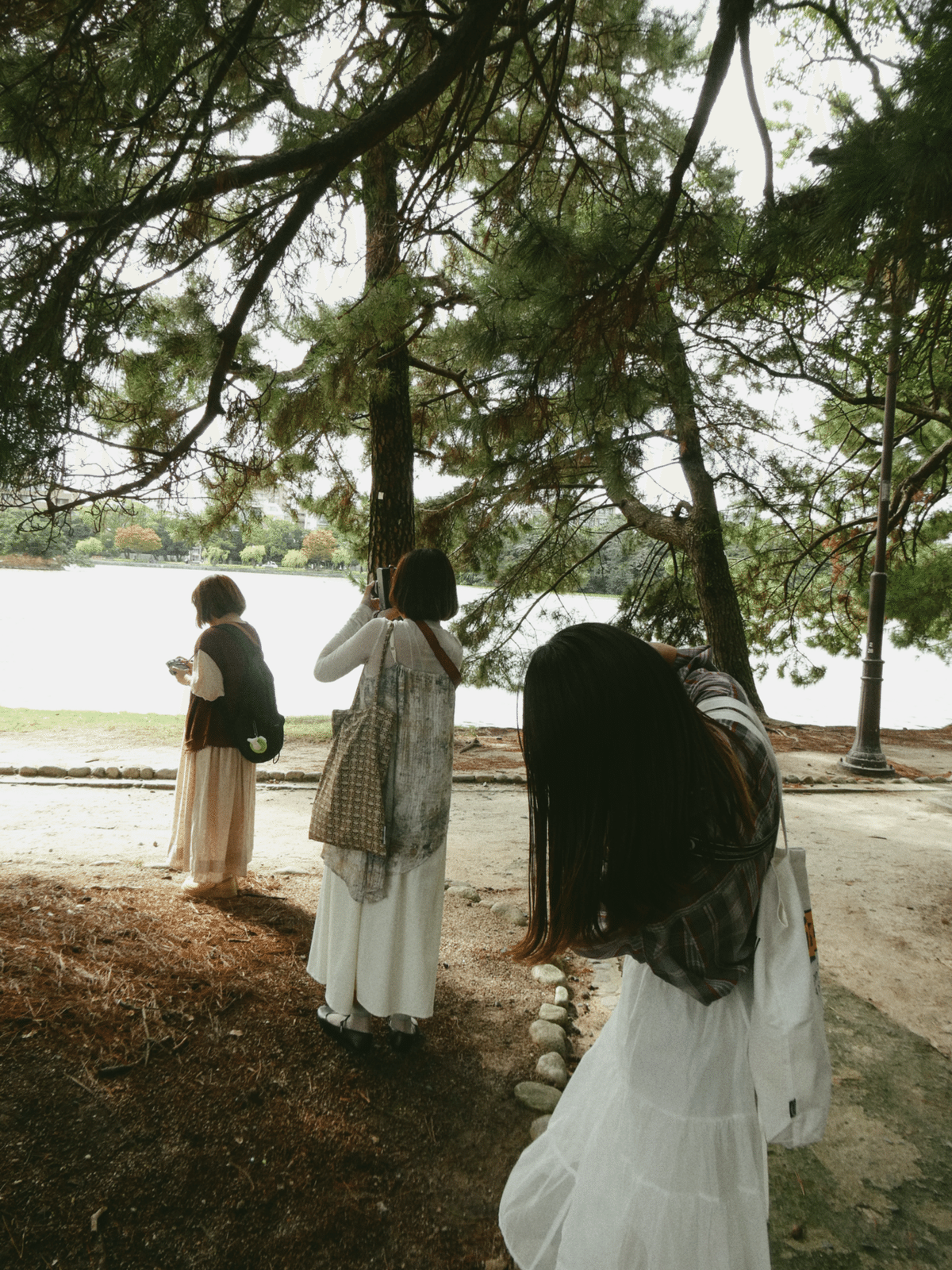 カメラ歴5ヶ月、フォトウォークを主催してみた。｜ma__tsuko