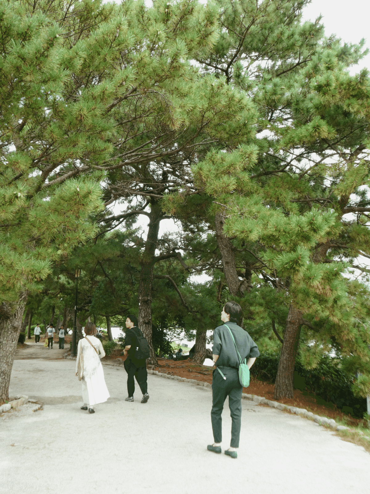 カメラ歴5ヶ月、フォトウォークを主催してみた。｜ma__tsuko