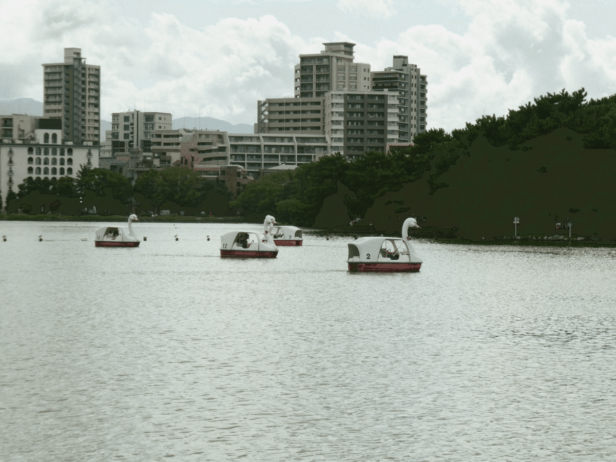 カメラ歴5ヶ月、フォトウォークを主催してみた。｜ma__tsuko