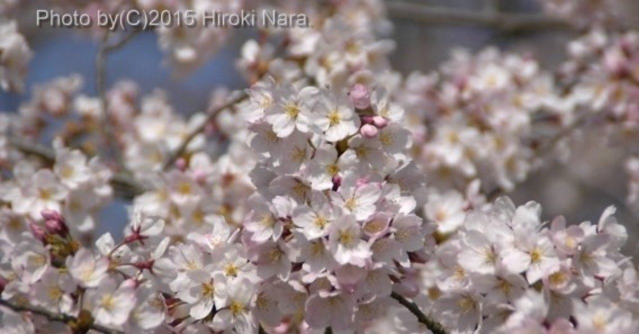 楽天ROOMでアフィリエイトやってるんだが｜hiroki-nara