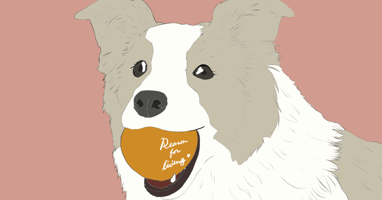 ふしぎなはなし｜SETA 公式note