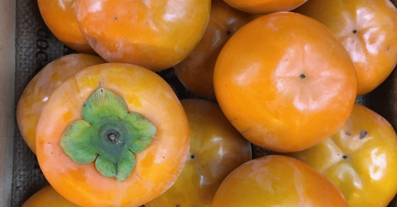 「TTKG（trans-tubular K gradient）はまだ使えるのか？」―電解質異常の“昔の指標”をどう活かすか―｜NP院生まなび帖 ...