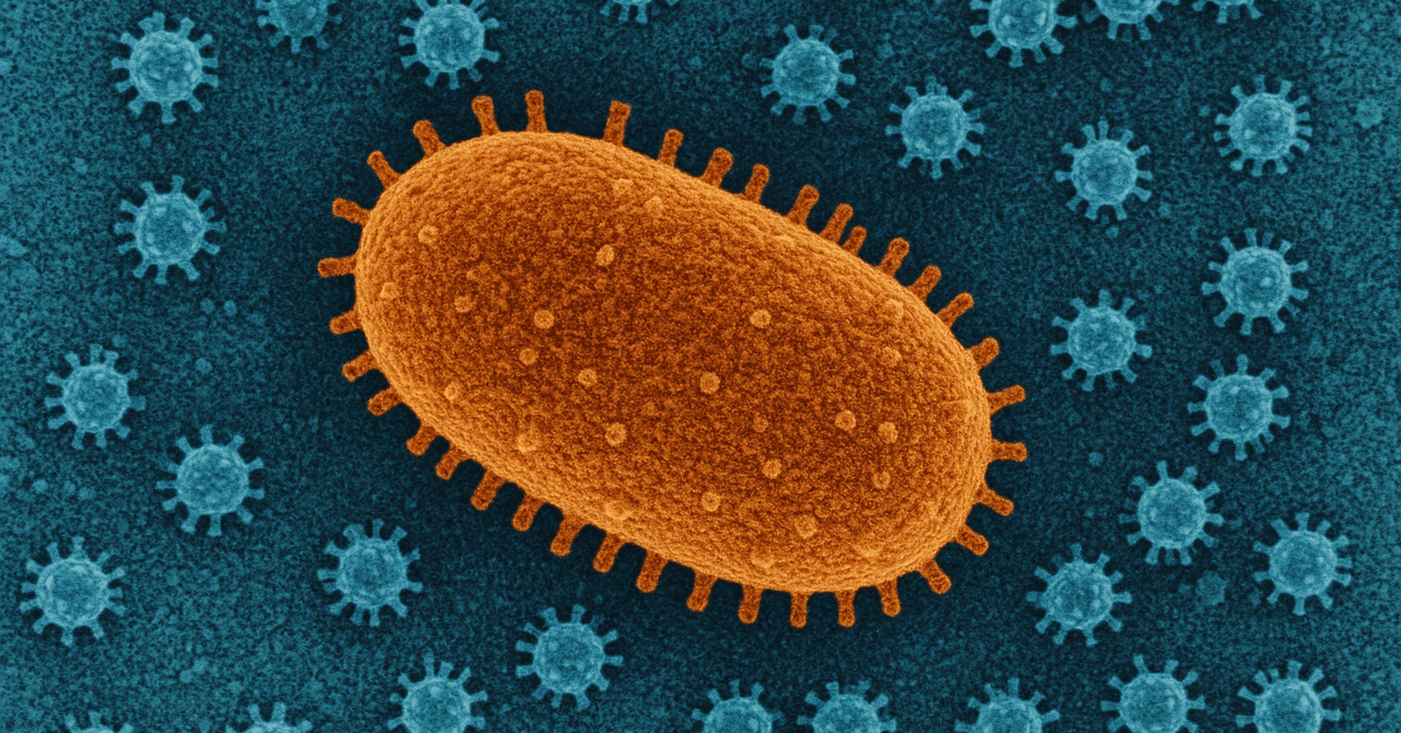 巨大ウイルスの存在論｜hiro_k295