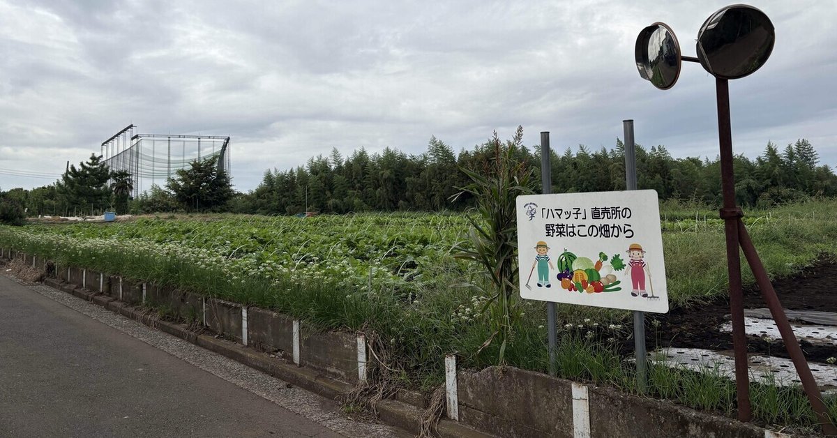 農業ボランティア（あらく農園）の魅力を語ります｜oryzae | ブラジル・サンパウロ駐在帯同(2025.10〜)