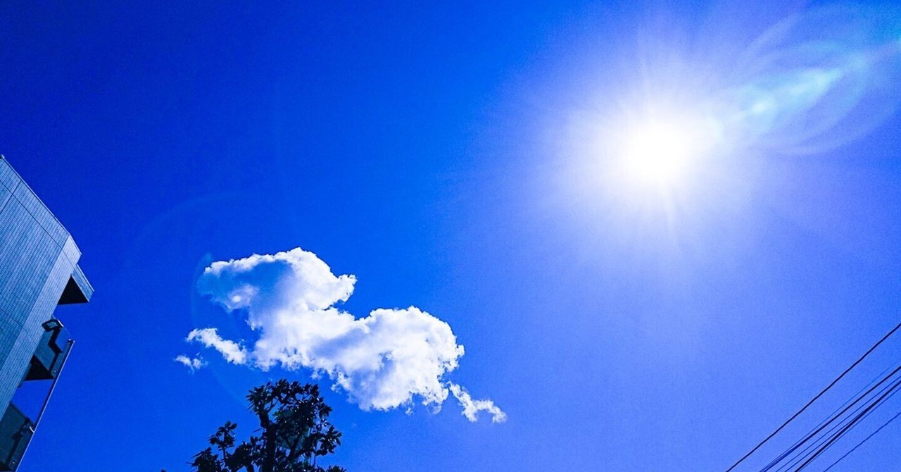 2025年9月度のコラム記事月間ランキングTOP3について｜グレイス｜サステナビリティの未来を拓く