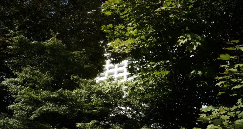 Nikon D4S - 2025-12｜fueda218｜note