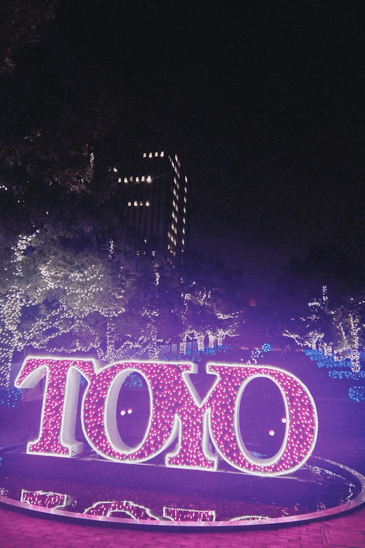 練習記30(つちねこ) 12/9〜12/15｜東洋大学 自転車愛好会