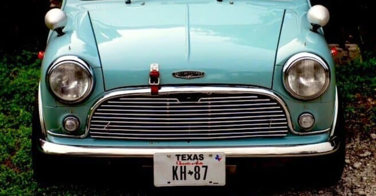 Classic Mini｜Nao-tea