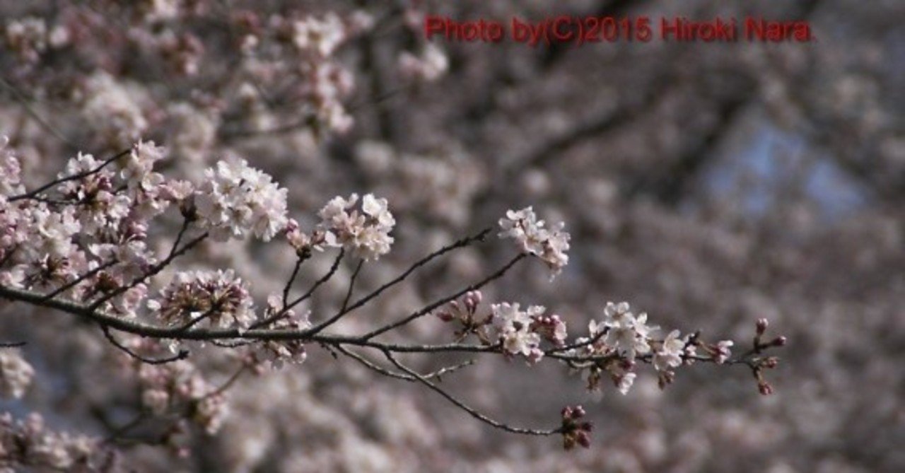 所得減の世帯に20万給付。まぁとうぜんですね。遅すぎですが。｜hiroki-nara