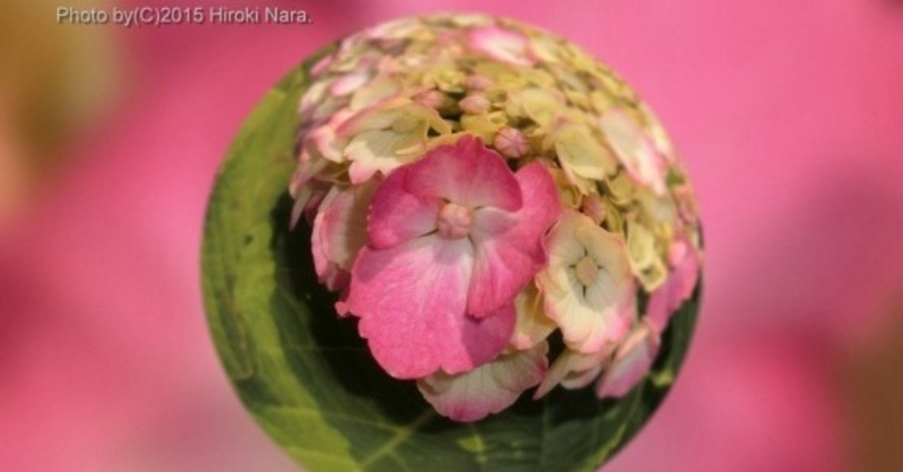 楽天アフィリエイトは規約の度重なる改悪で使い物にならなくなりました。｜hiroki-nara