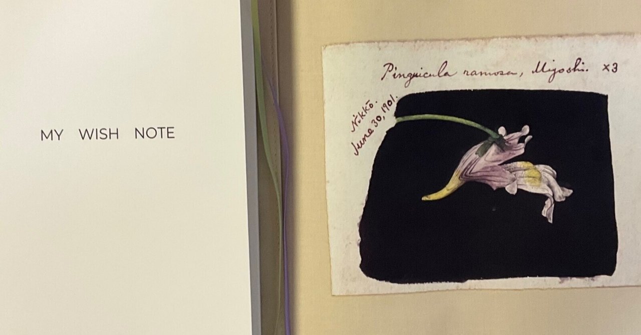 ＜手帳＞素敵な出会い 〜 MY WISH NOTE｜草風日記 by melissa