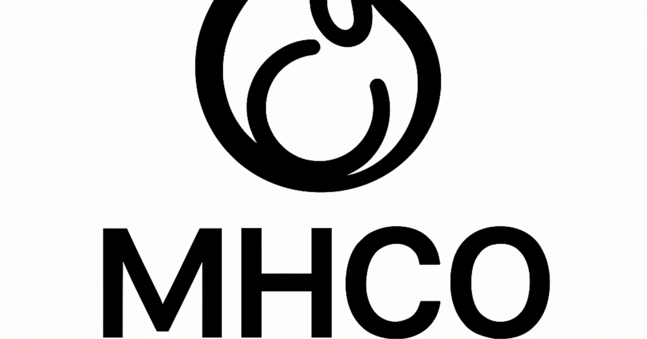 ️‍🔥現時点での、【MHCO｜My Harmonic Cognitive OS】 とは｜しんのすけ