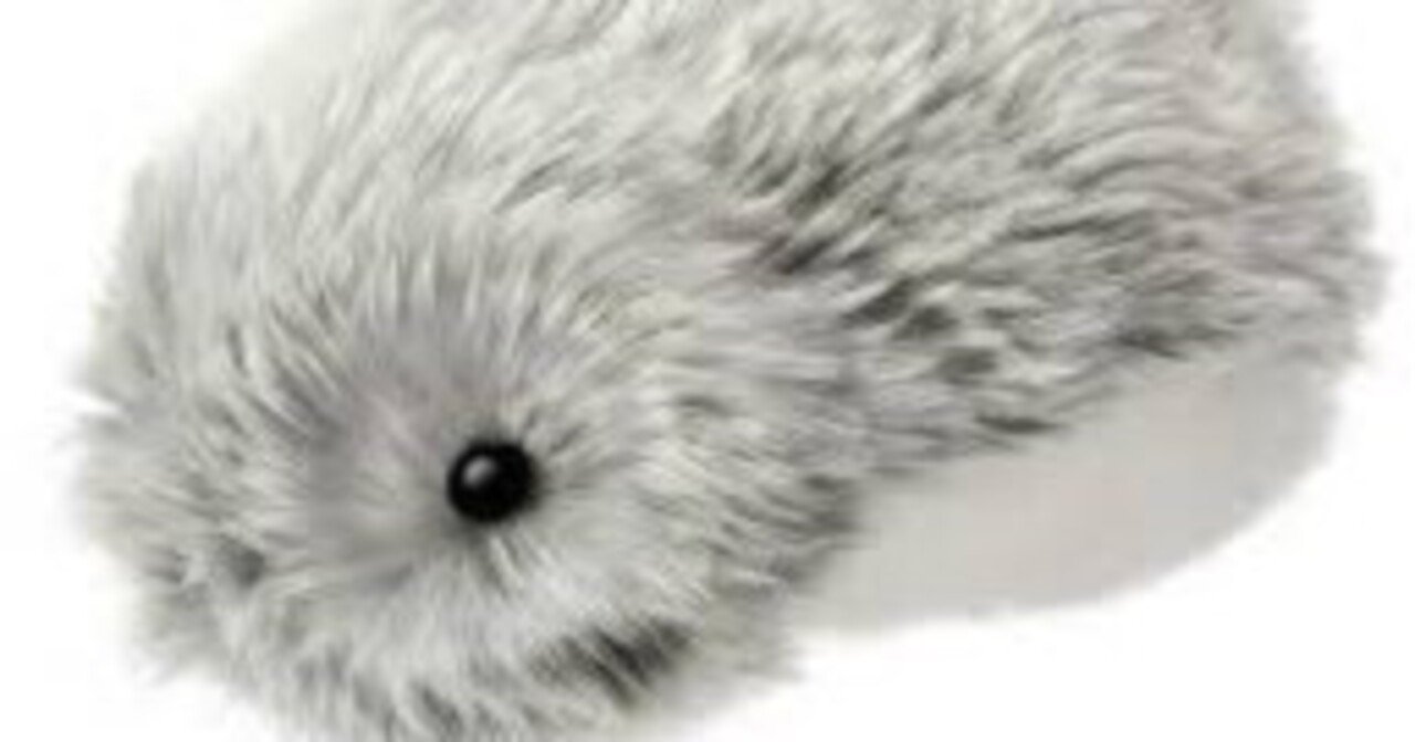 【Moflin（モフリン）の評判】やばいほど可愛い？口コミ・値段から、販売店まで徹底解説！｜そる