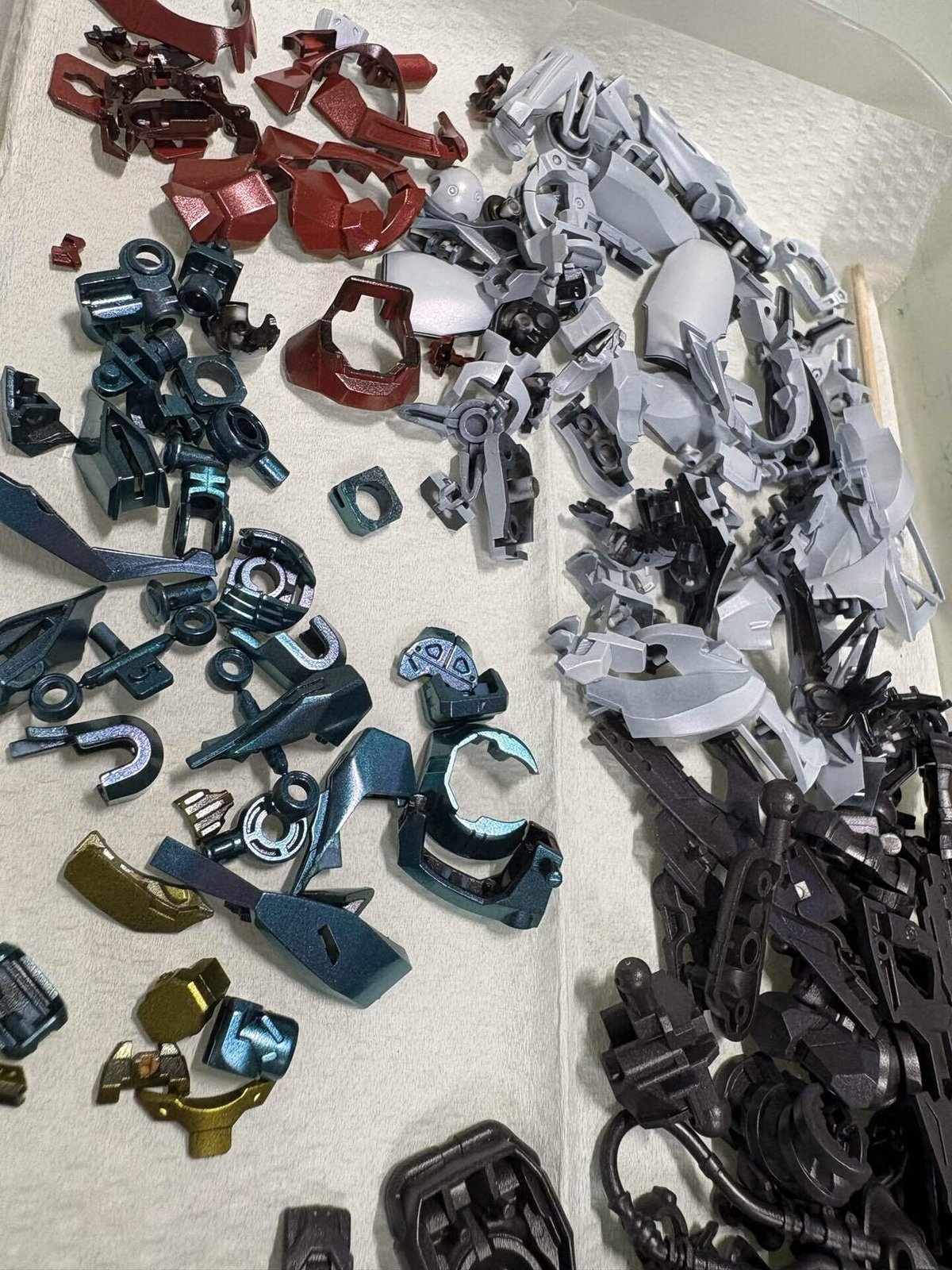 すやすや猫ちゃんイラストが北海道に｜minto.