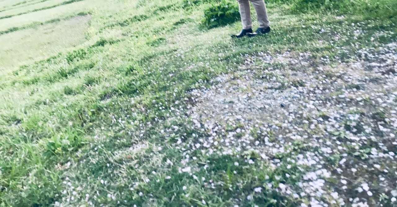 天才④｜Mika Sudo｜note