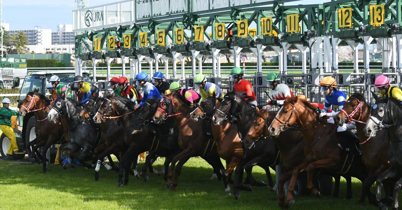 サラブレッドクラブライオン 2025募集馬(2024年産)AI馬体診断｜Koji Maeda