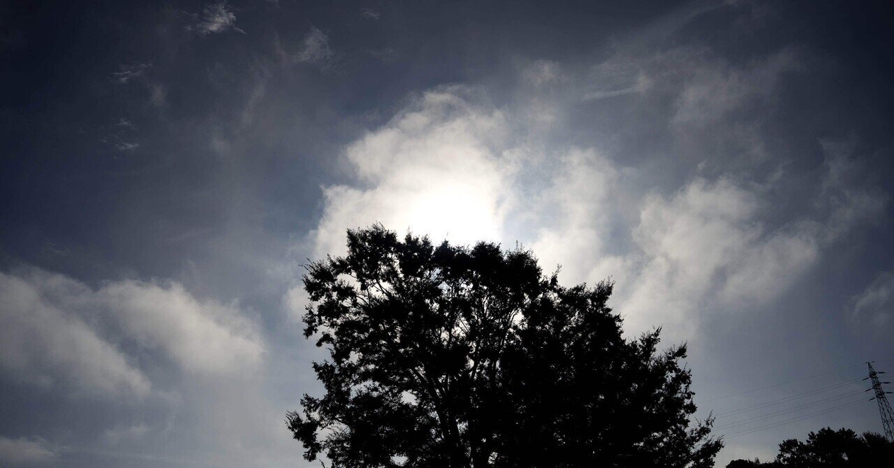 ダイアン・キートン死す｜YUYA YAGIHASHI