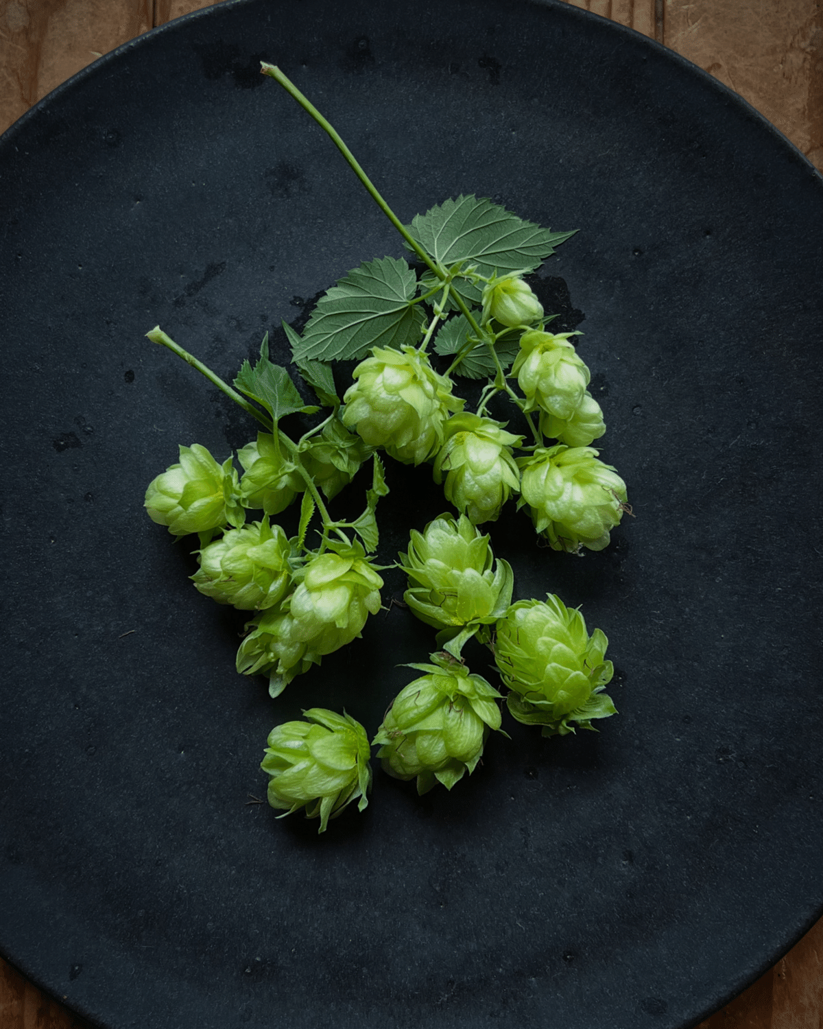 ホップソルトが出来るまで⑪「ビールとホップと料理と塩が混ざり合う世界へ」｜Nishio Farm