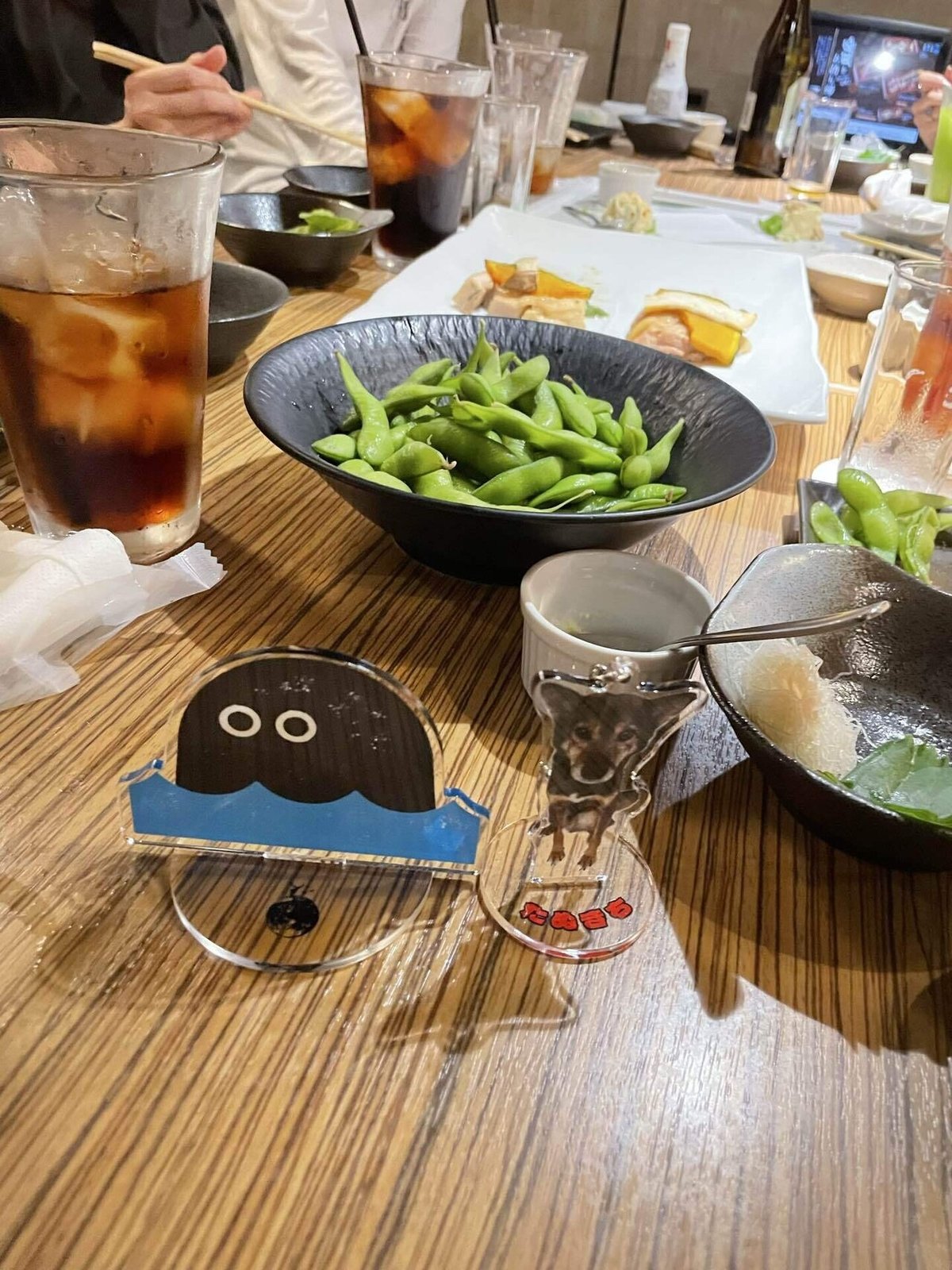 tacica TOUR 2025 『三大博物館 ～生者の行進～』at東京キネマ倶楽部 感想｜雨人