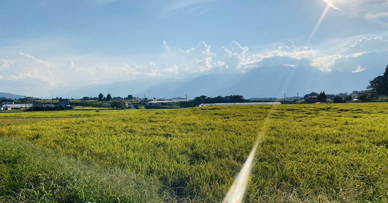 オフィス回帰から逃走移住 ― サイドFIRE & フルリモートで遊ぶように生きる―｜FIRE/移住（marika grace) - 長野伊那へ ...