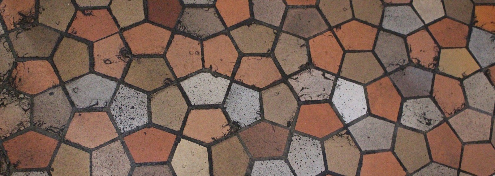 京都在住エッセイスト・ライター、ときどき大学講師 江角悠子｜note