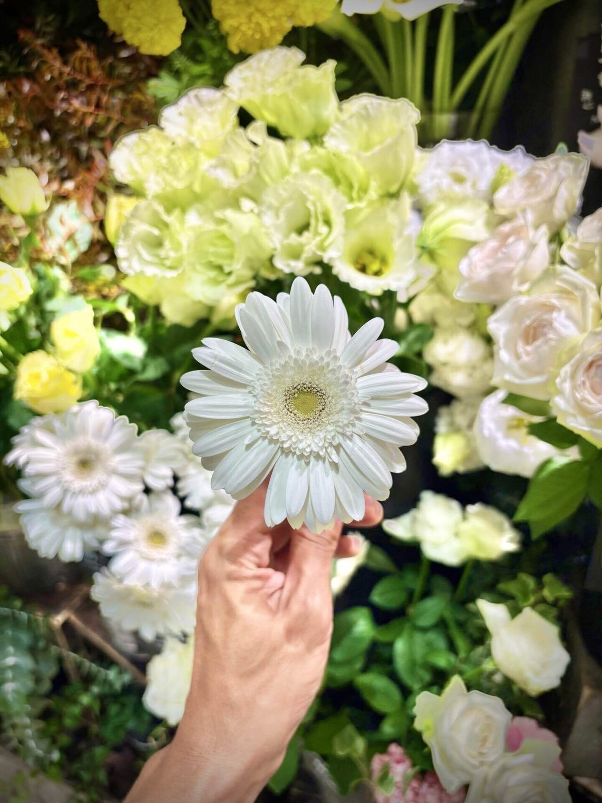 くよくよしないで前を向く。｜坂爪圭吾