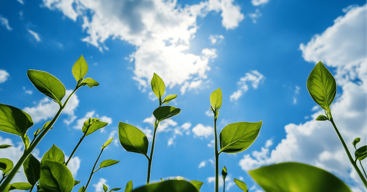 自己紹介｜37歳｜商社｜読書｜目標｜Kohei