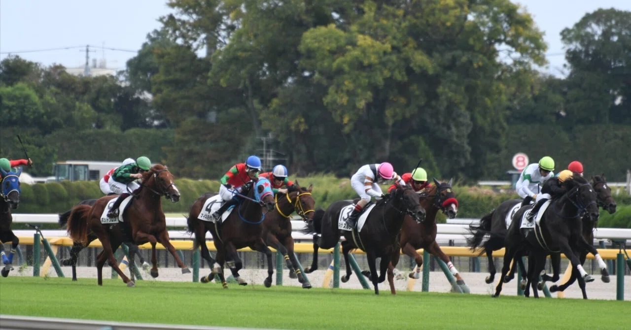京都サラブレッドクラブ 2025募集馬(2024年産)AI馬体診断｜Koji Maeda