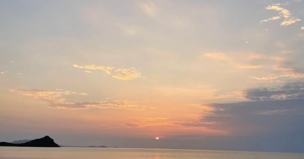 🕊️生命はアート。愛は静寂。わたしは在る…｜AKIKO CHIBA /ちばあきこ